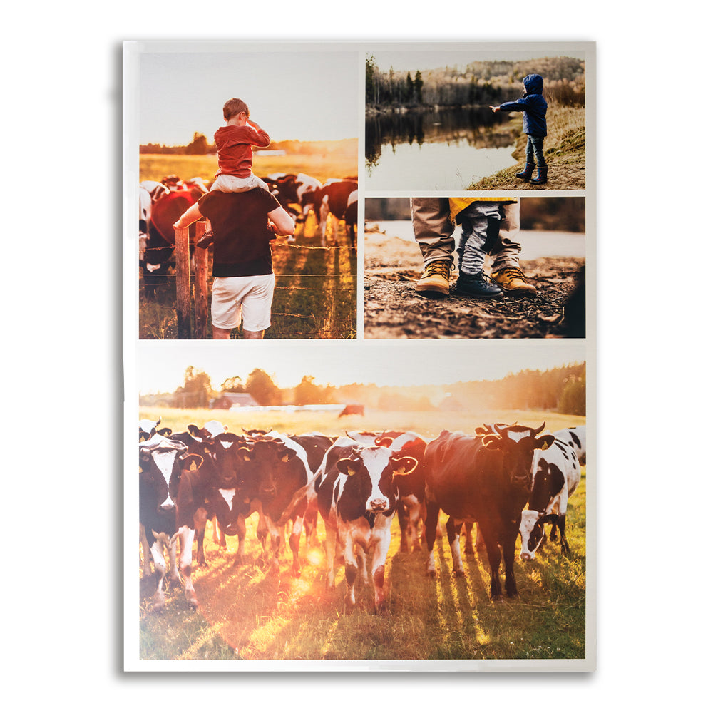 Collage Product – Aluminyze